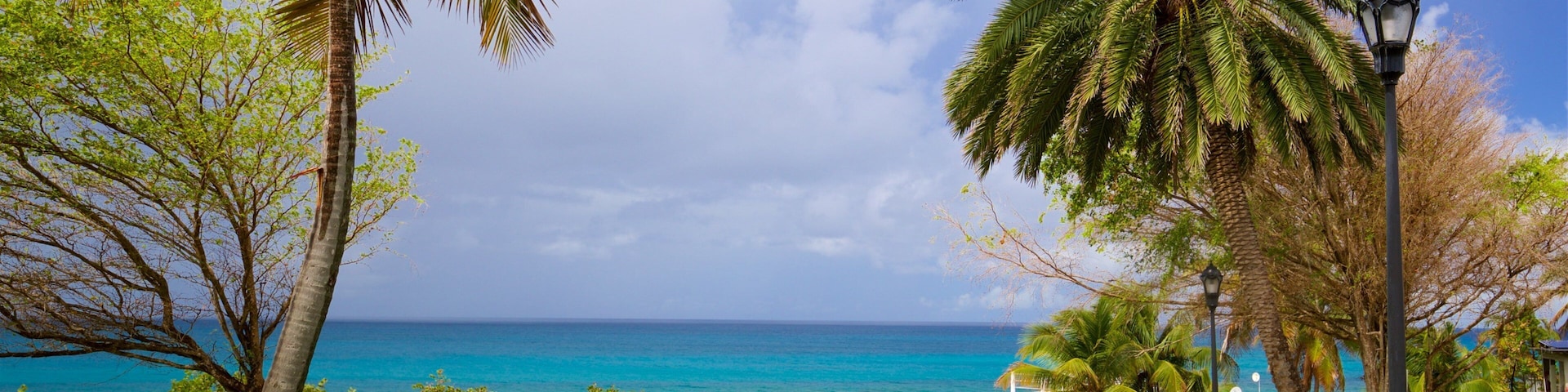 El Faro de Punta Mulas which includes general coastal views, tropical scenes and a park