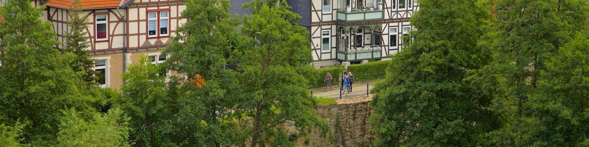 Museum im Zwinger que inclui paisagem e uma cidade pequena ou vila