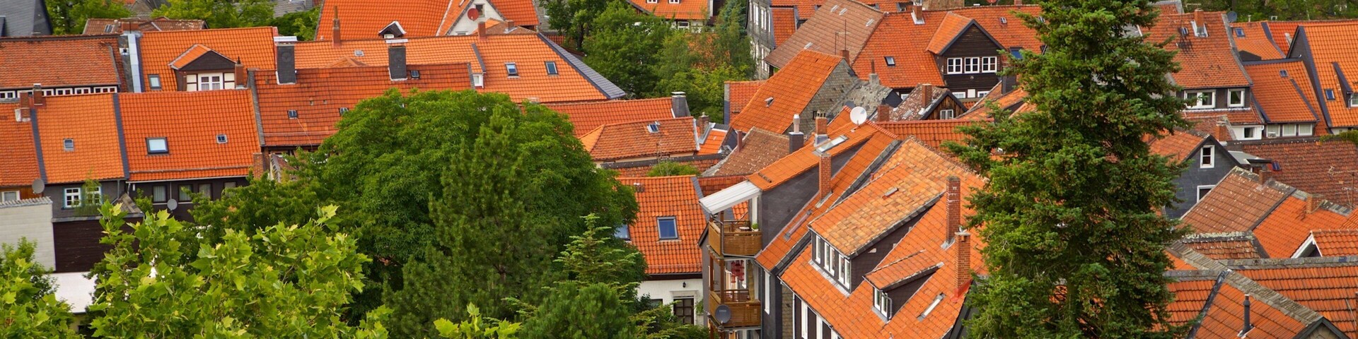 Museum im Zwinger que inclui uma cidade e paisagem