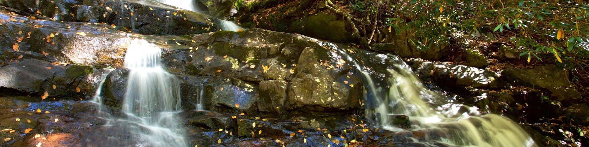 Great Smoky Mountains National Park mostrando uma cascata e um rio ou córrego