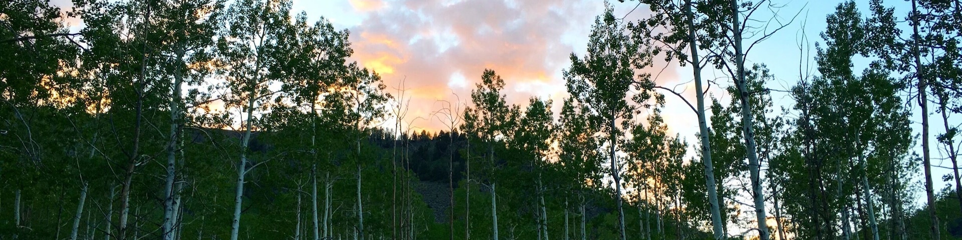Doctor creek camping, Fishlake Utah.