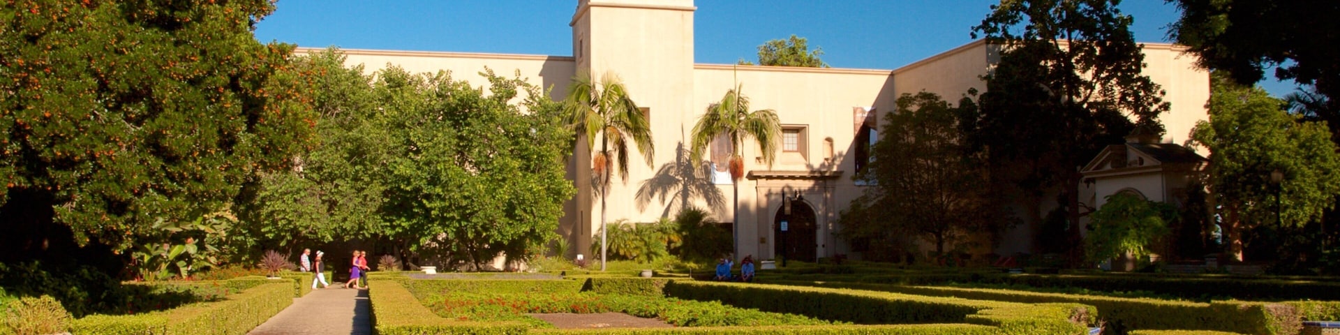 Alcazar Garden which includes wildflowers and a park