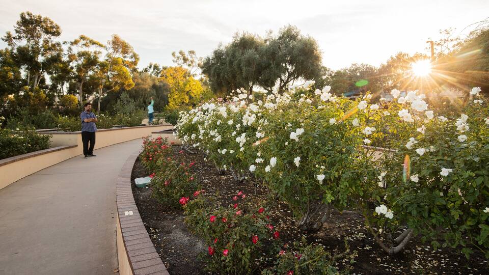 Inez Grant Parker Memorial Rose Garden