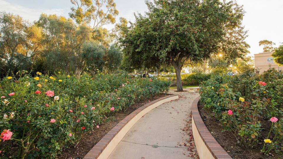 Inez Grant Parker Memorial Rose Garden featuring a park and wildflowers
