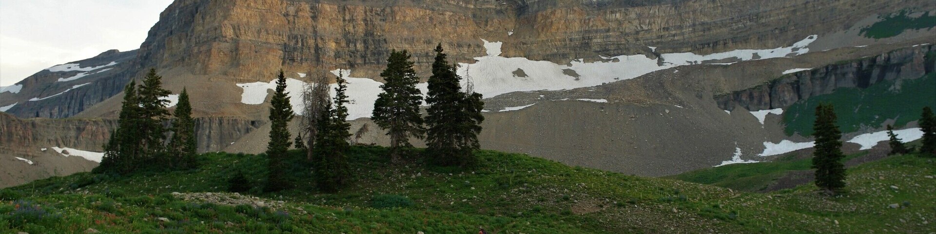 Almost to basecamp (the trees), in another 8 hrs, we would be summitting to the peak in front of us. #BVStrove