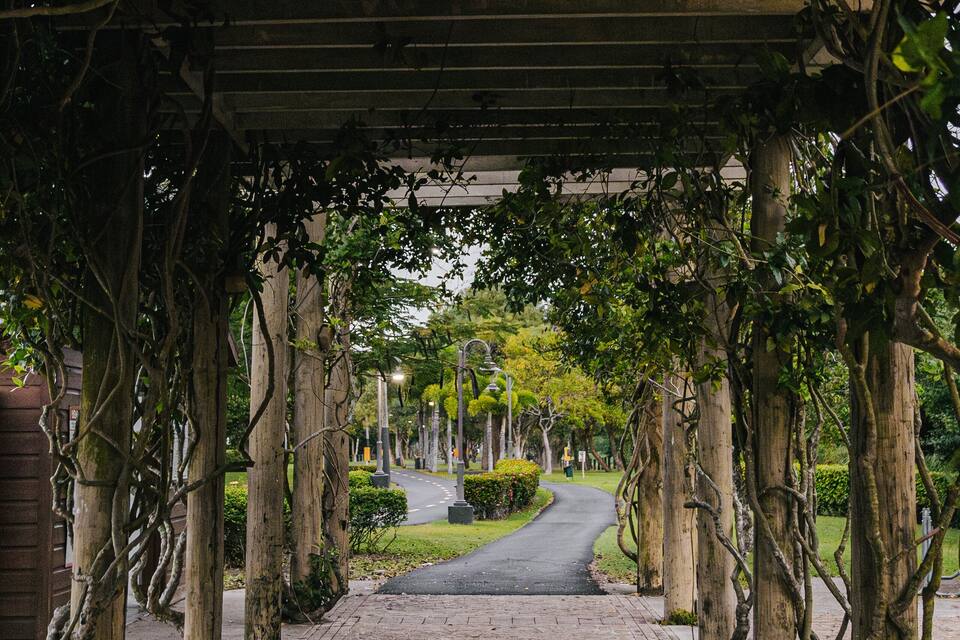 Uma trilha pavimentada sob uma pérgola com árvores, que leva a uma estrada sinuosa.