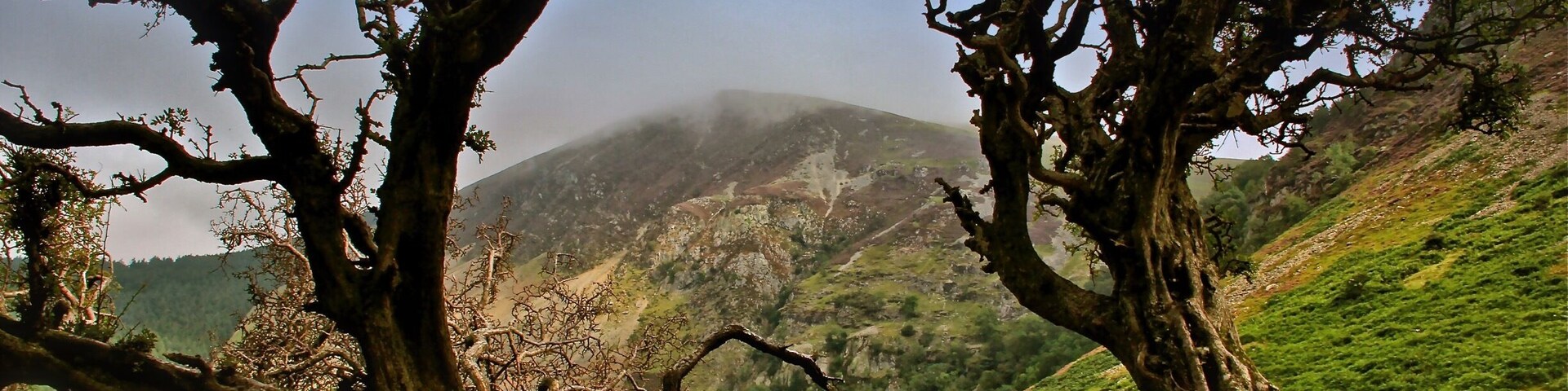 Lonely planet on Earth, the beautiful and unspoiled beauty of Aber Falls. Put on my tracking shoes and ready to adventure up to the mountains and a challenge to be meet. #mountains #travel #nature #England #nationalpark #hiking #landscape #BVSblue