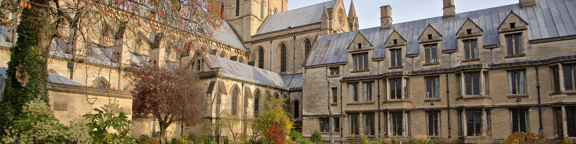 Catedral de São João Batista mostrando um parque e arquitetura de patrimônio