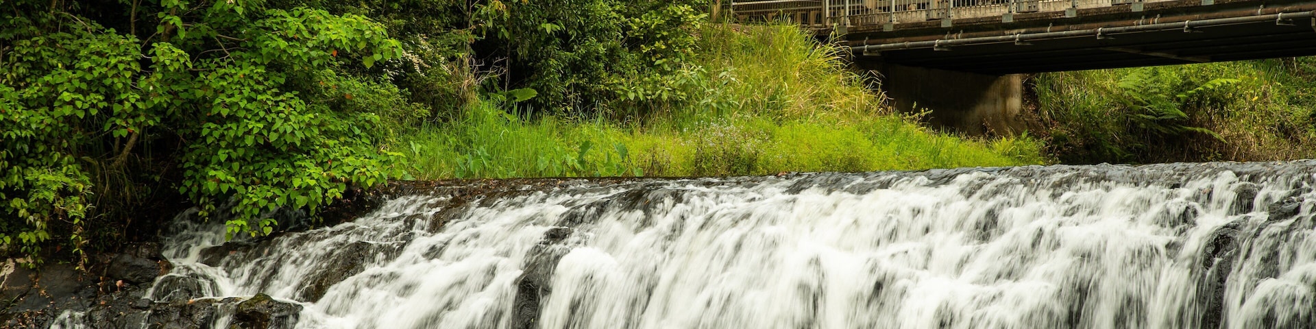 Malanda Falls which includes a river or creek