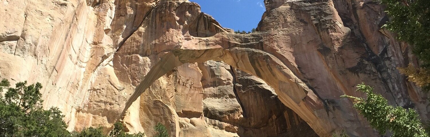 Located near Acoma Pueblo, La Ventana (the window) Arch is Jen of the largest natural arches found in New Mexico. This is as close as the .5 mile path allows you to get to it.