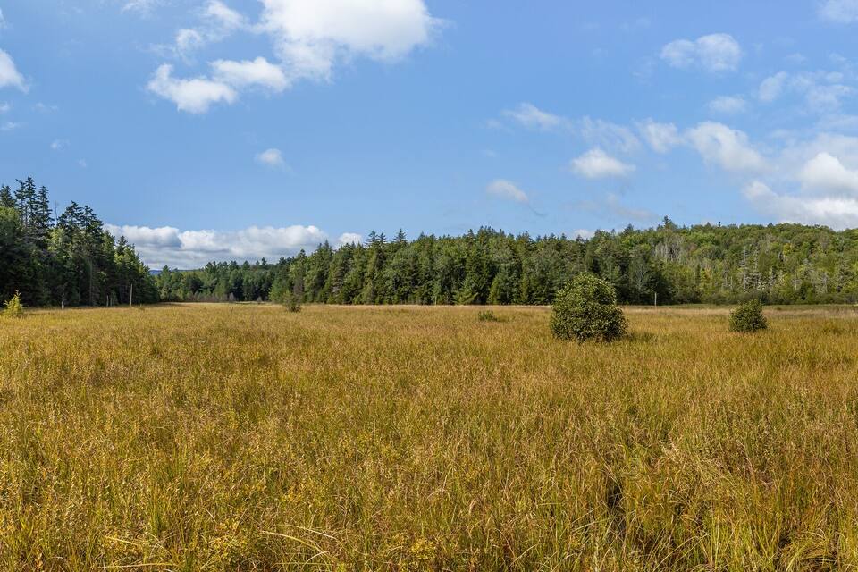 Um extenso campo com gramíneas altas e uma colina arborizada ao fundo sob um céu parcialmente nublado.