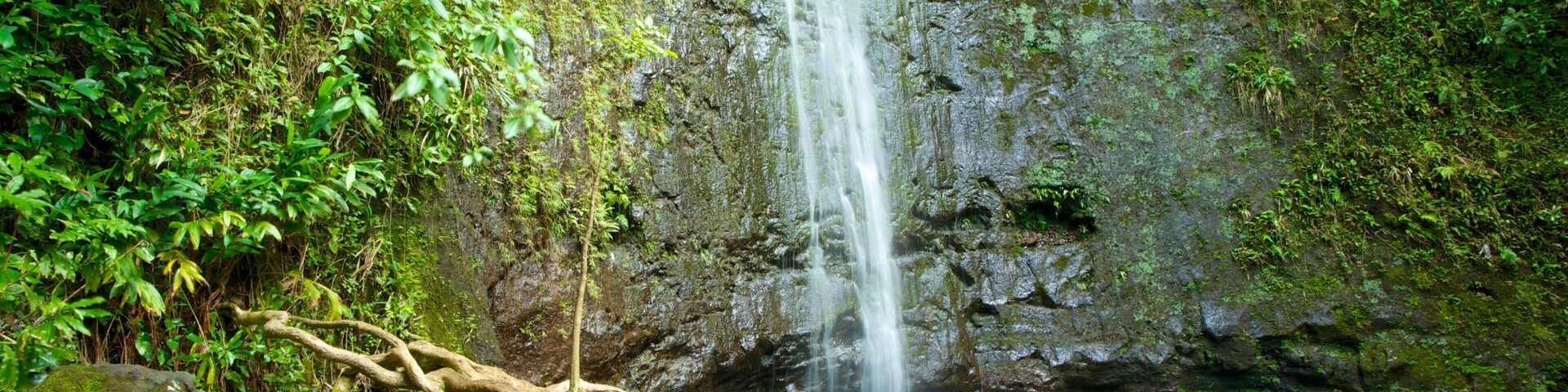 Oahu Island showing a cascade, a garden and landscape views