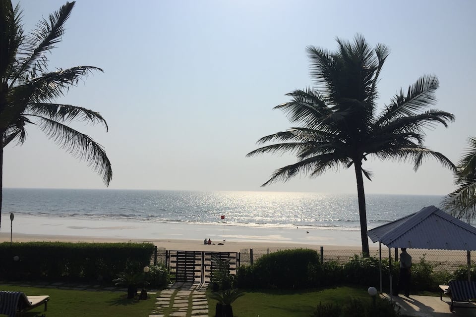 Uma praia com palmeiras, um caminho e uma área coberta.