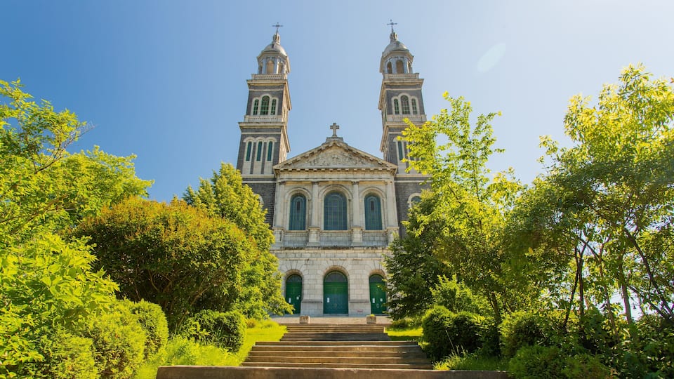 Cathedrale Saint-Francois-Xavier which includes a church or cathedral and heritage architecture