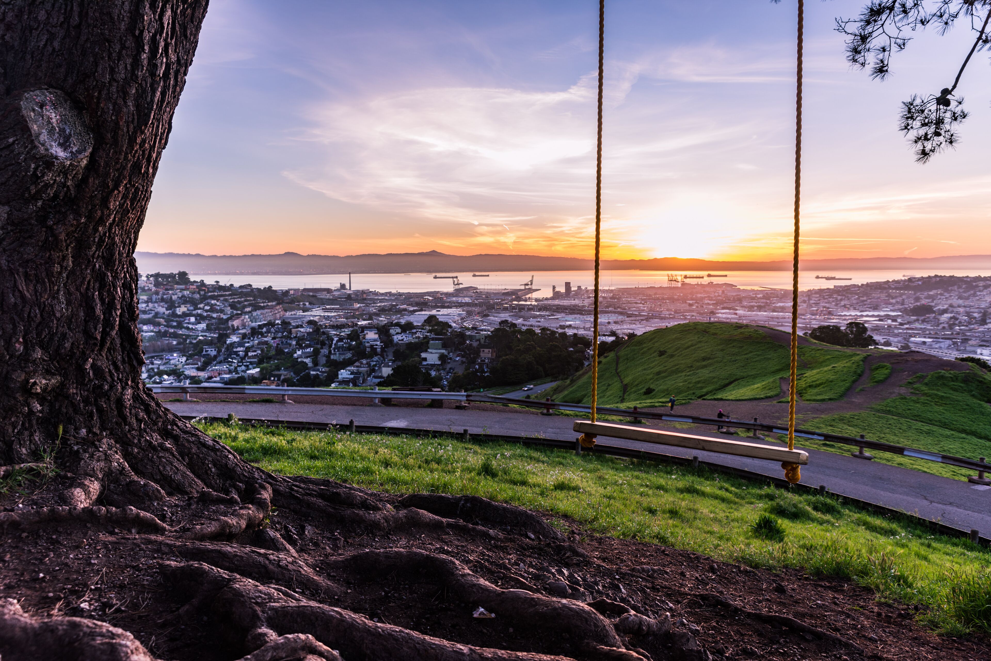 Uma árvore, um balanço, uma estrada e um horizonte urbano ao pôr do sol.