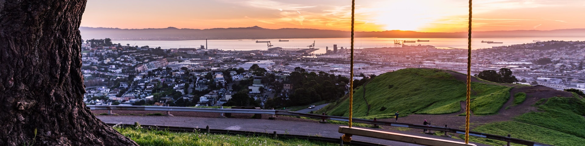 Uma árvore, um balanço, uma estrada e um horizonte urbano ao pôr do sol.