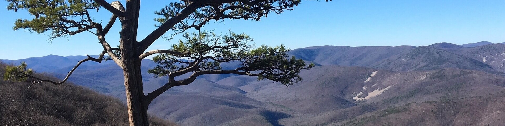 Ravens Roost Overlook along the Blue Ridge Parkway in VA