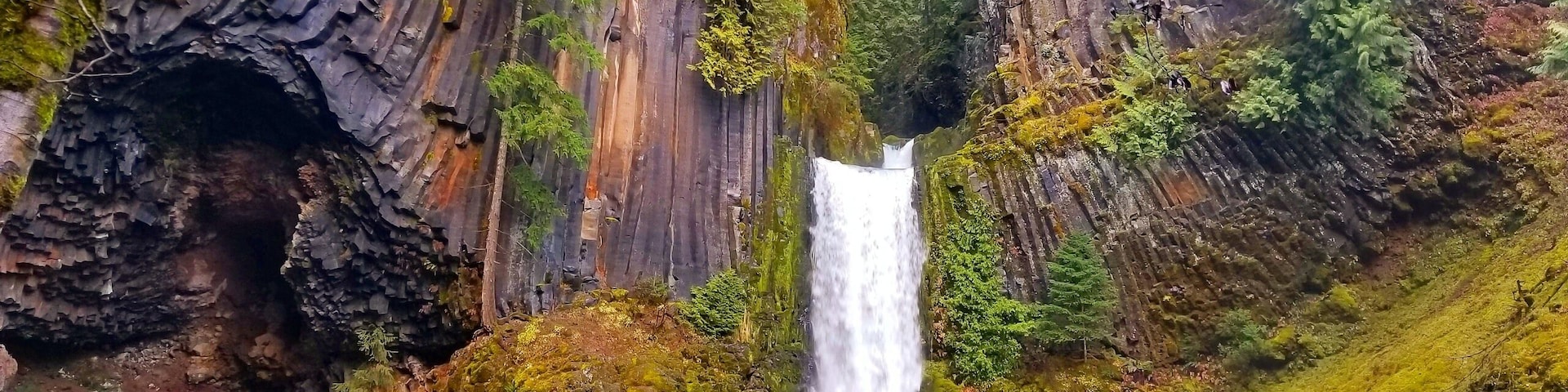 One of the best waterfalls in Oregon!
#oregon #pnw #waterfall #hike #roadtrip #nature
#greatoutdoors