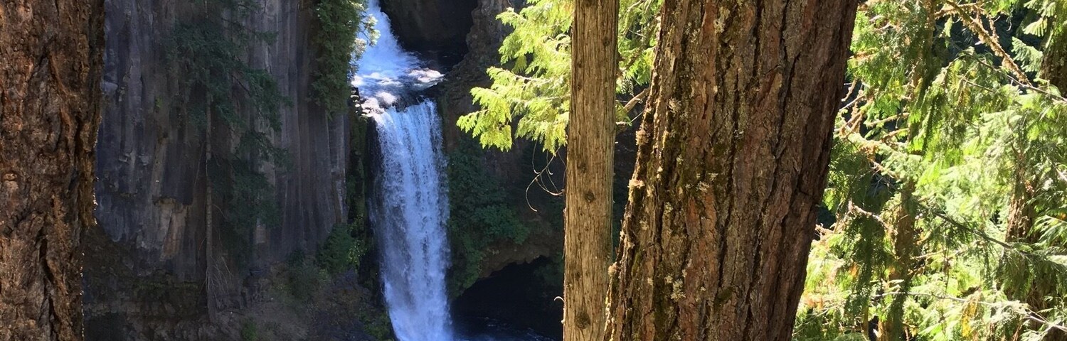 Rumbling waterfall, truly a magnificent sight to behold! #EndlessSummer #oregon #waterfall
