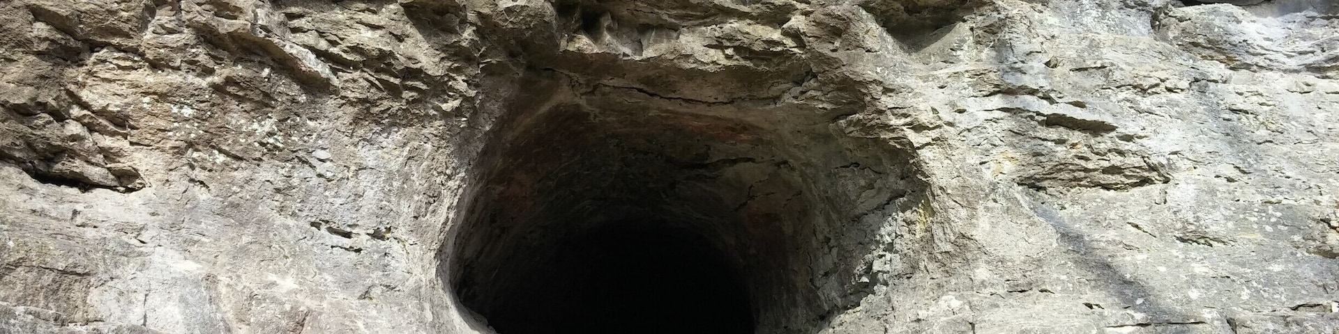 Just past the falls, there is a small crawl-able cave in the limestone cliff side. The cave probably goes 6-8 feet back before taking a left and heading an additional 10-12 feet. Beyond that, it gets a little narrow for my liking.