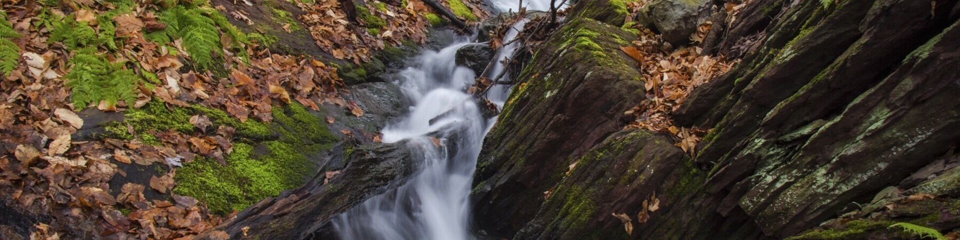 Just off the trail on Douglas Trail!