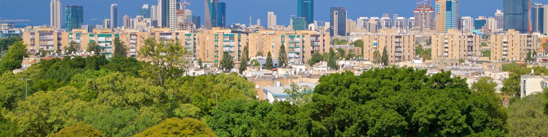 Parque Edith Wolfson caracterizando um arranha-céu, uma cidade e paisagem