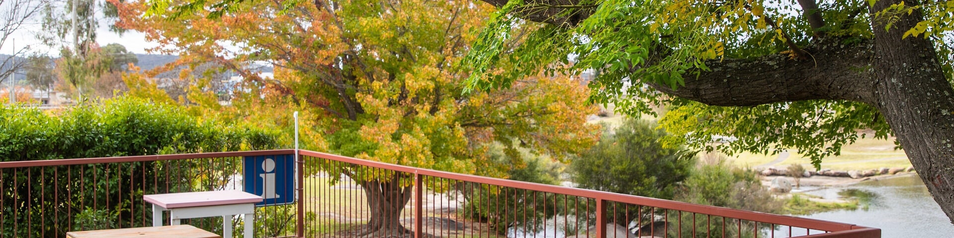Stanthorpe Visitor Information Centre showing a garden and views