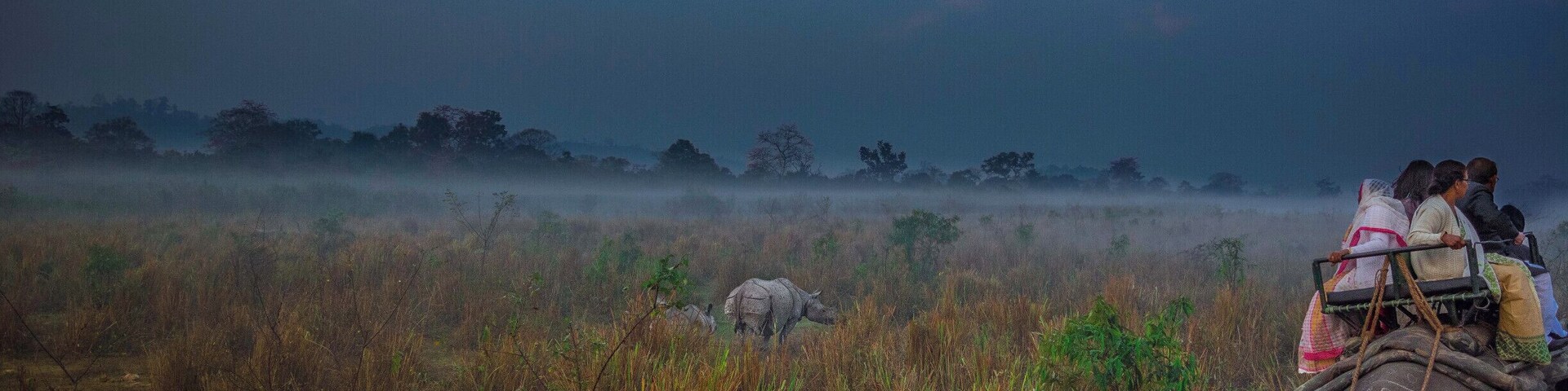 Elephant safari in Kaziranga National Park
