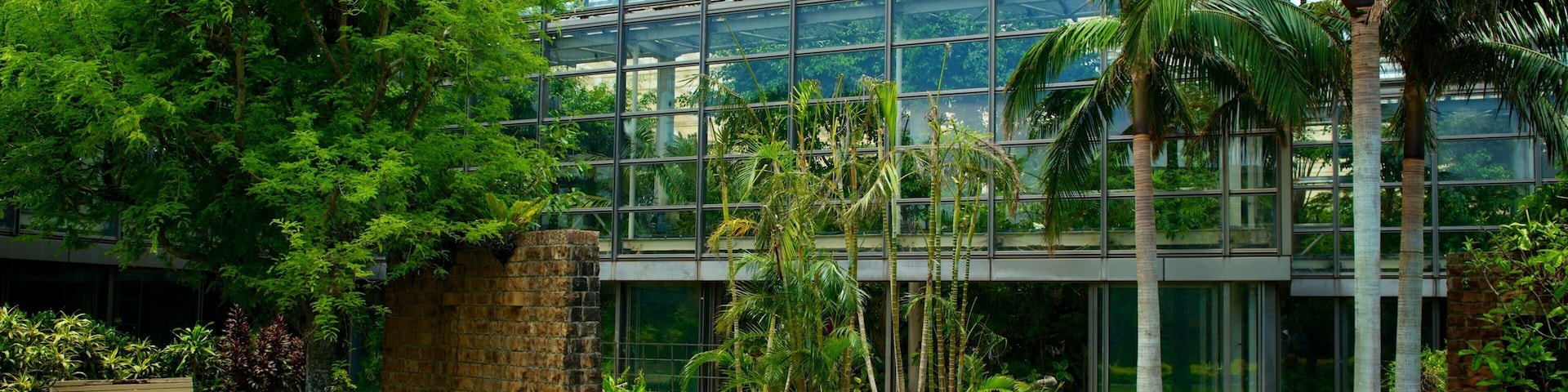Okinawa showing a garden and a pond