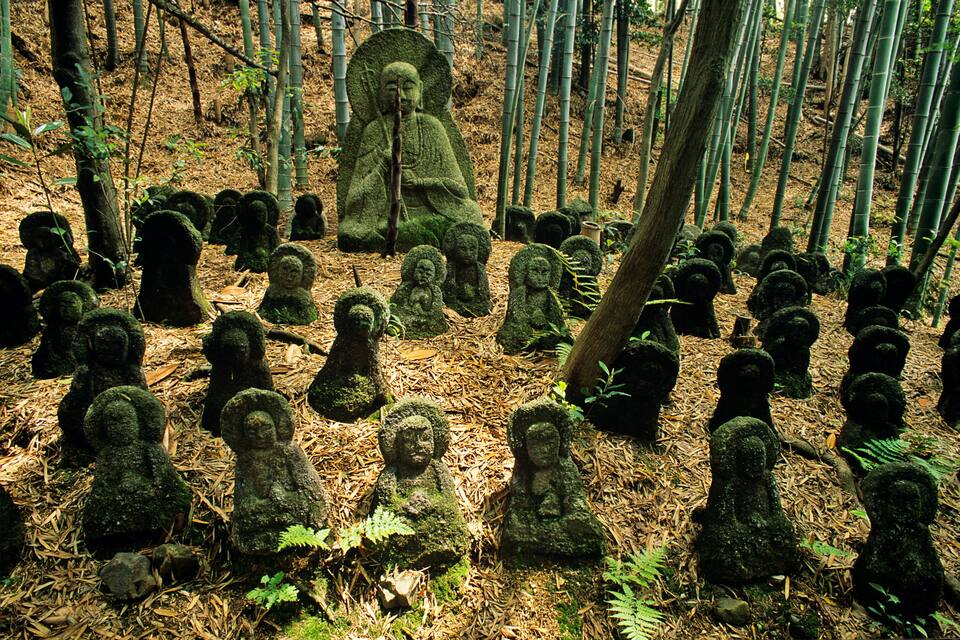Uma floresta com inúmeras estátuas de pedra de Budas e uma grande estátua de Buda ao fundo.