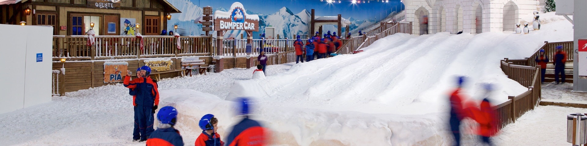 Gramado showing snow tubing, interior views and snow