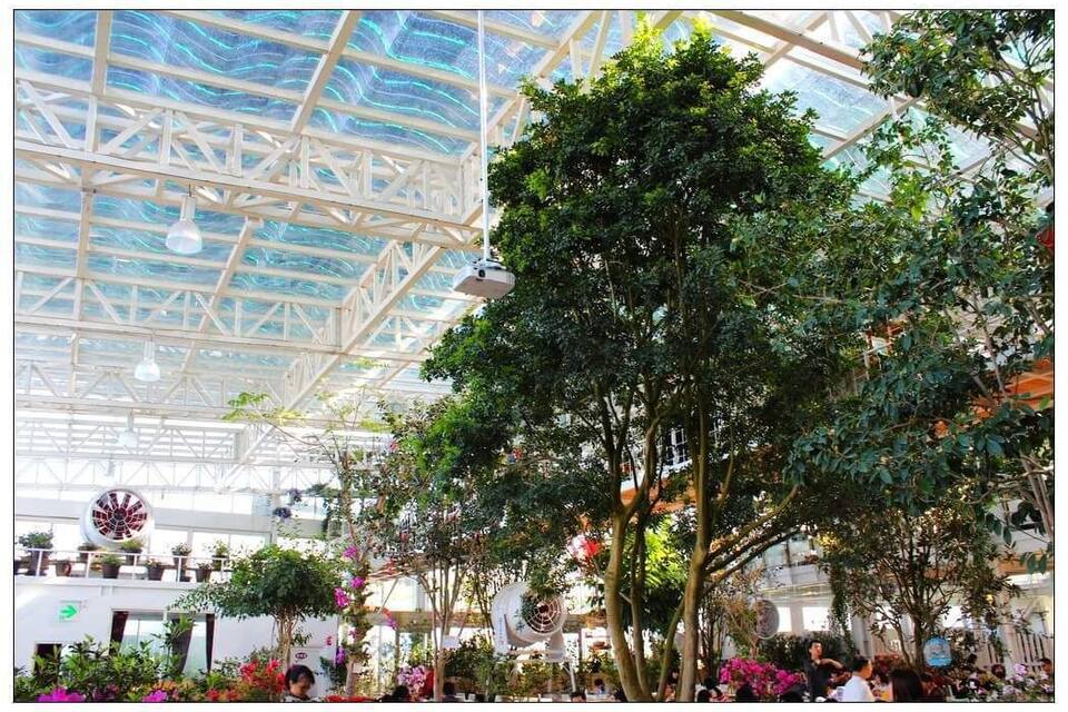 Um amplo jardim botânico coberto, com teto de vidro e diversas plantas.