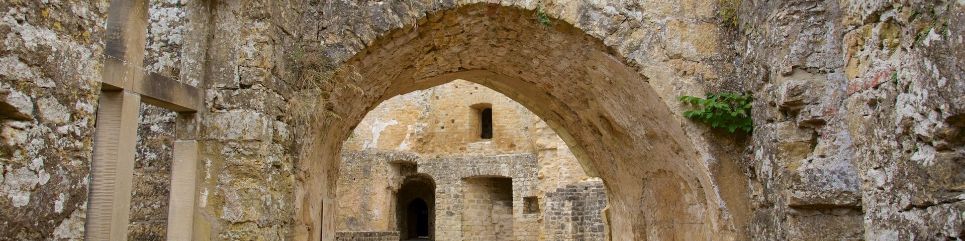 Luxemburgo mostrando arquitetura de patrimônio, um pequeno castelo ou palácio e elementos de patrimônio