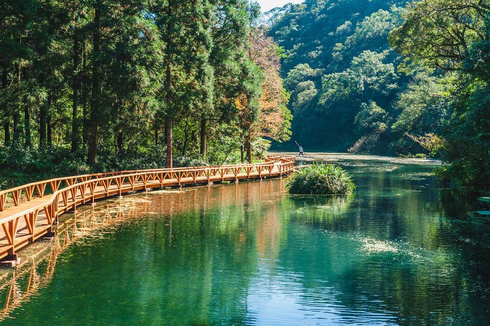Uma ponte de madeira sobre um rio calmo, rodeada por floresta densa.