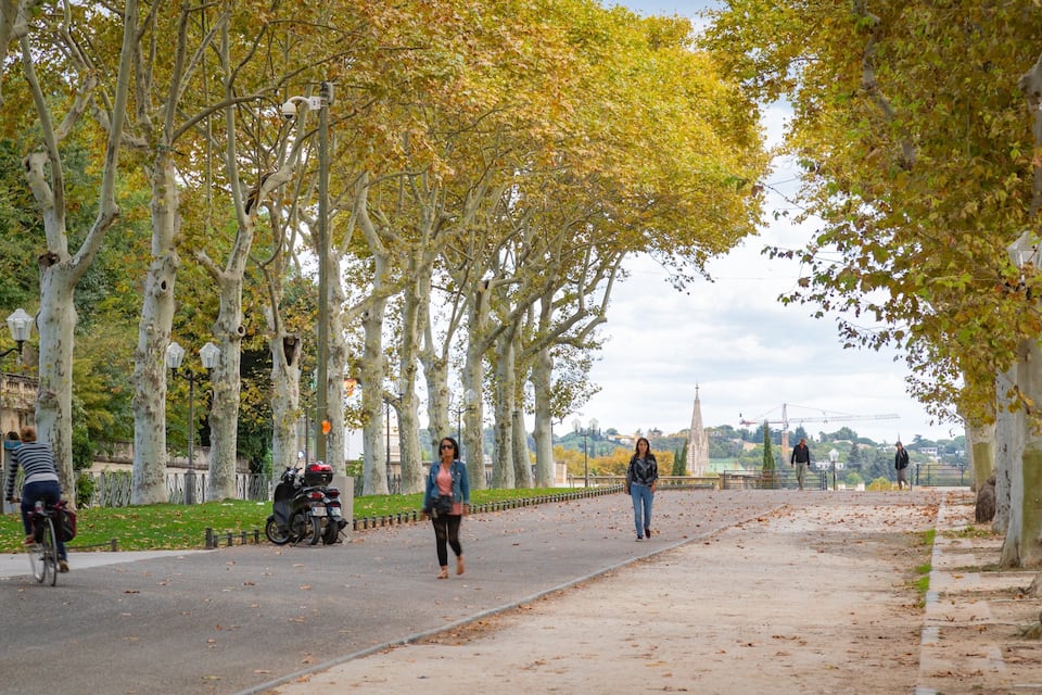 Um caminho arborizado com ciclistas e pedestres.