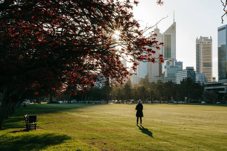 Um parque com uma pessoa caminhando, árvores de folhas vermelhas e um horizonte urbano com edifícios altos.