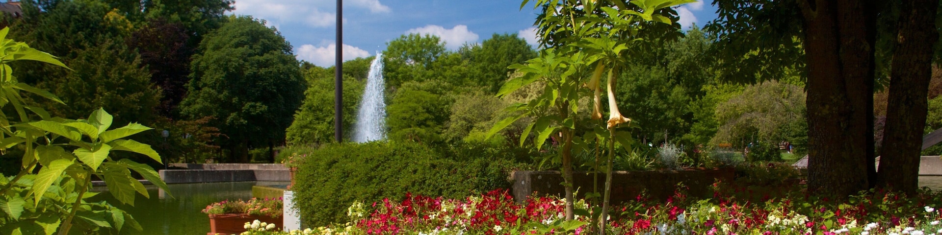 Luxemburgo mostrando um jardim e flores