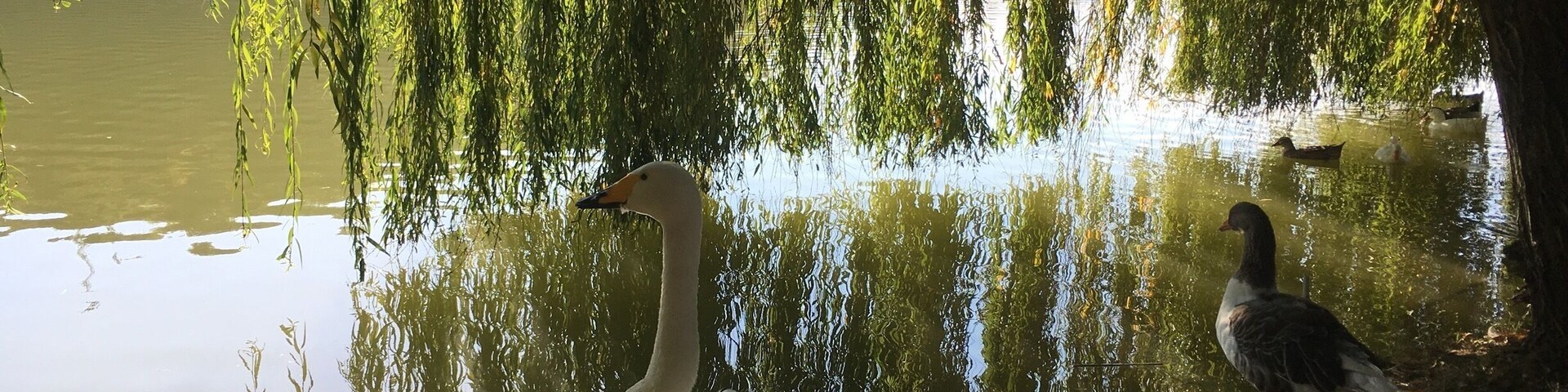 Отличное уединенное от городов место для отдыха