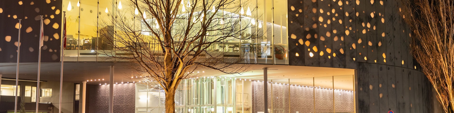 Matsumoto Performing Arts Center which includes night scenes