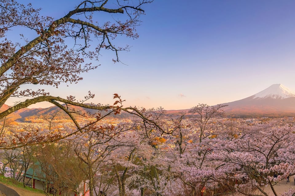 Uma pagoda japonesa tradicional cercada por cerejeiras em flor, com o Monte Fuji ao fundo.