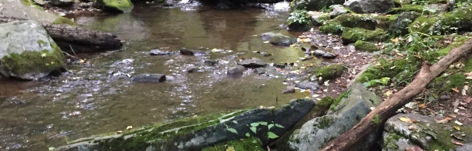 Hiking the Rapidan Camp Trail In Shenandoah National Park Sunday...