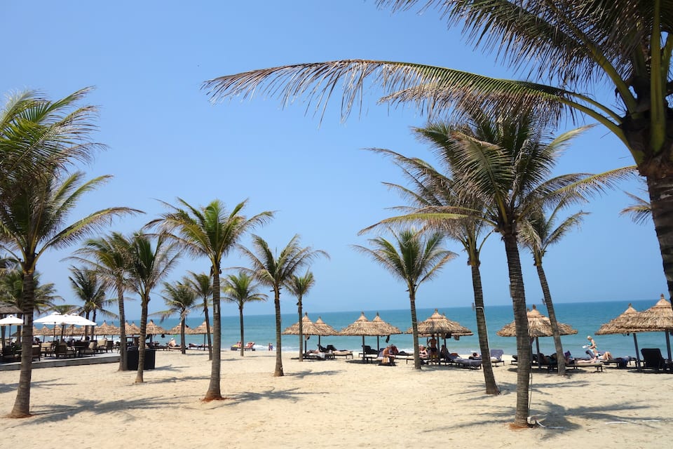 Uma praia com palmeiras, espreguiçadeiras e toldos de palha.