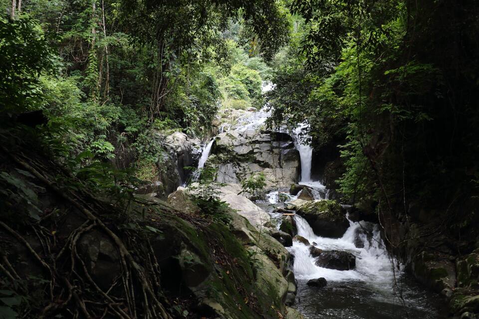 Uma cachoeira despencando sobre rochas em uma floresta exuberante.