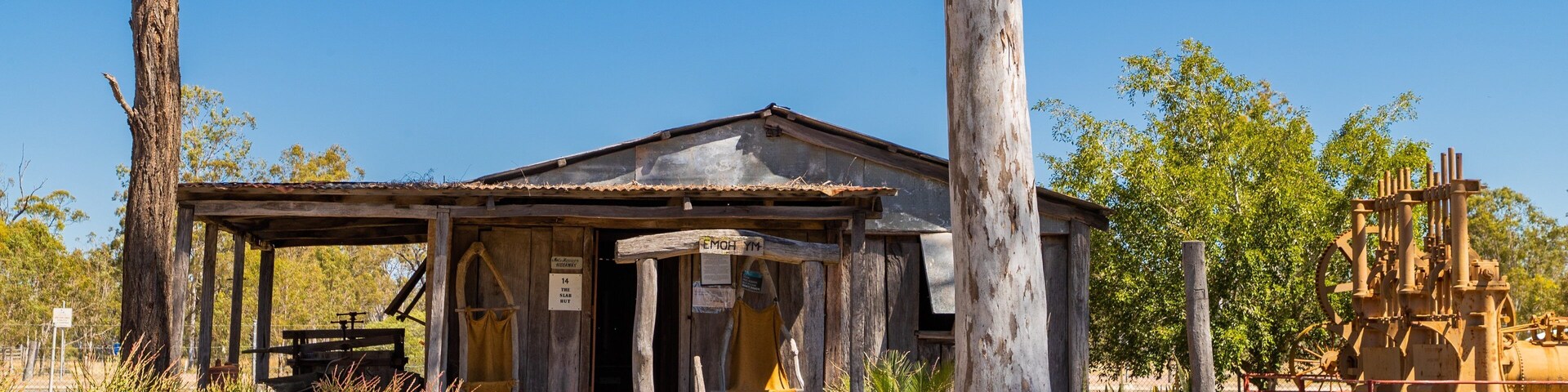 Uma construção de madeira deteriorada com telhado de chapa metálica, cercada por vegetação rasteira e uma grande árvore.