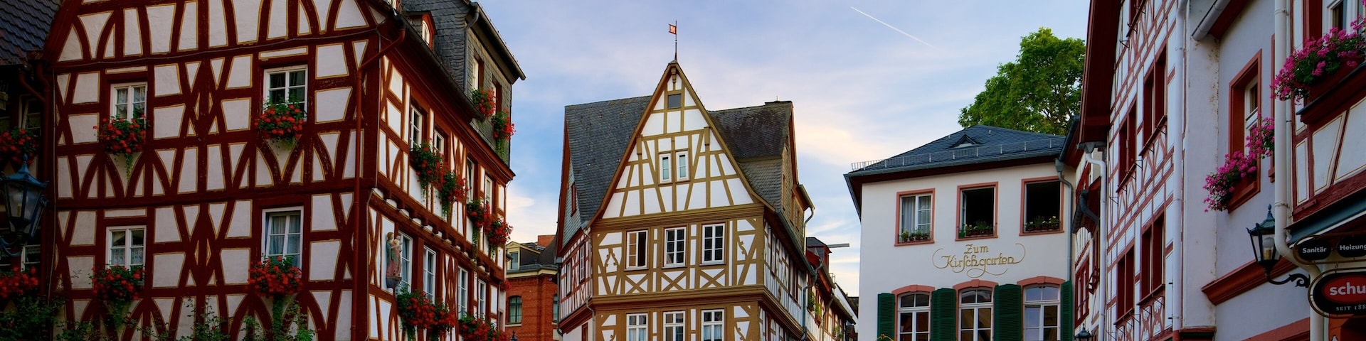 Rhenish Hesse which includes a sunset and heritage elements