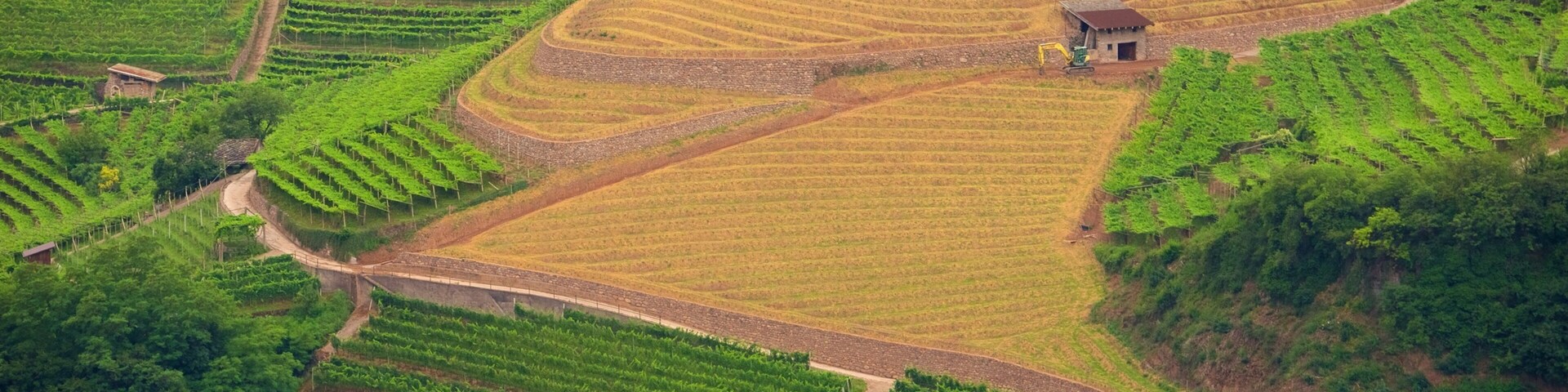 Trentino showing farmland