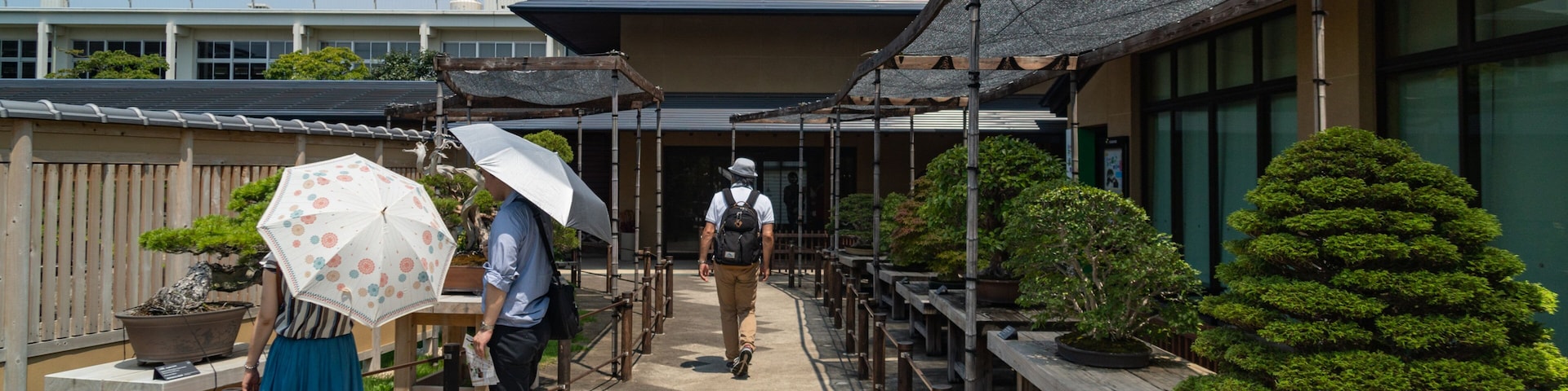 Omiya Bonsai Art Museum