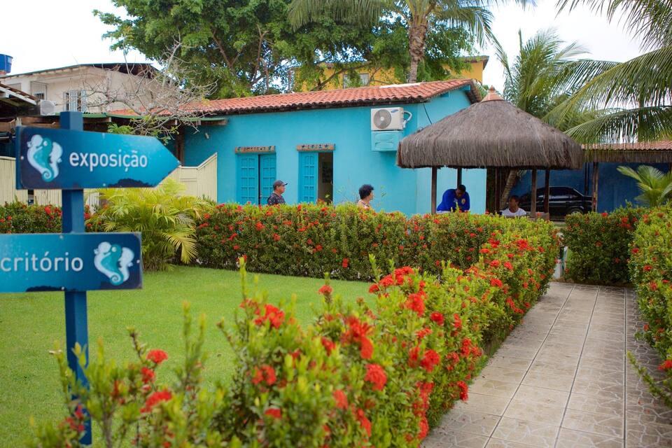 Um edifício azul com telhado de palha, rodeado por flores vermelhas e arbustos verdes.
