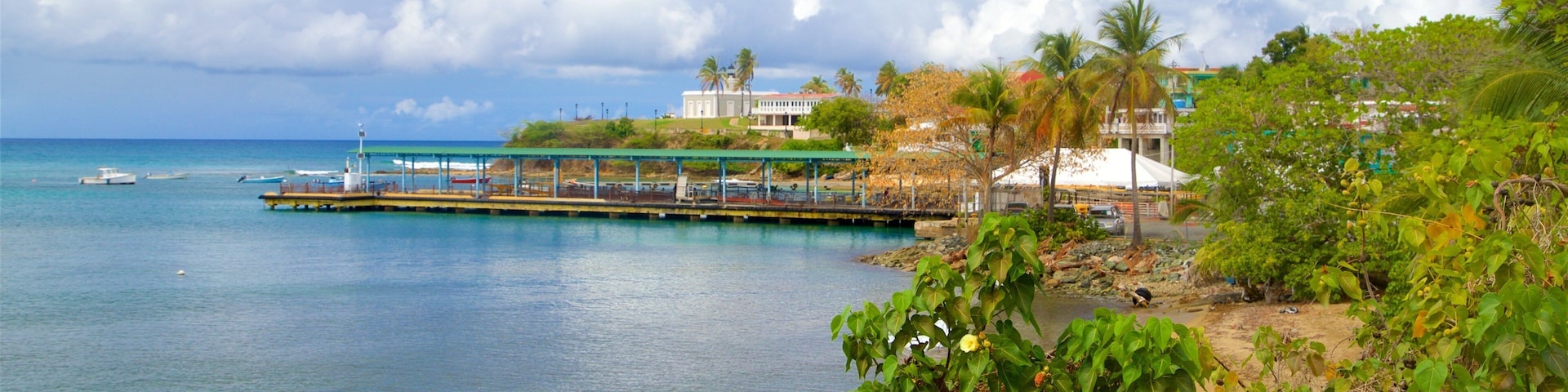 Vieques Ferry Terminal which includes general coastal views