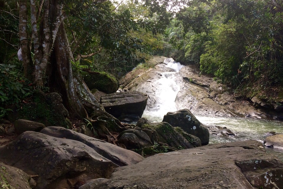 Um riacho pedregoso serpenteia por uma área arborizada, com grandes pedras e vegetação densa.